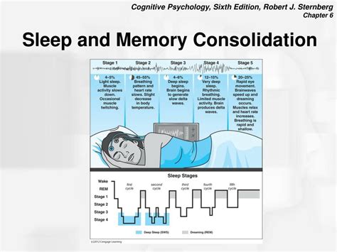 Image result for Memory and Learning Sleep