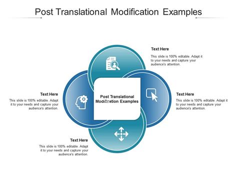 Image result for Post-translational Modification Examples