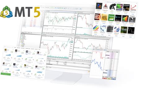 Image result for MetaTrader 5 Setup