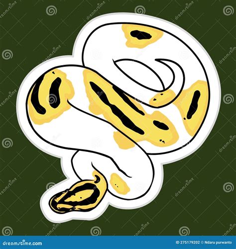 Image result for Python Snake Face