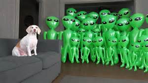 Image result for Alien Invasion Warning Prank