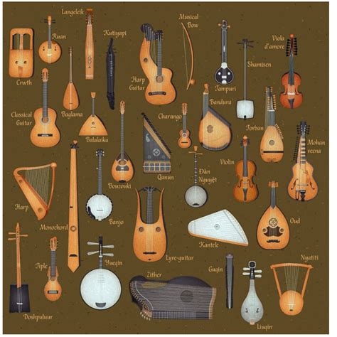 Image result for Different Types of String Instruments