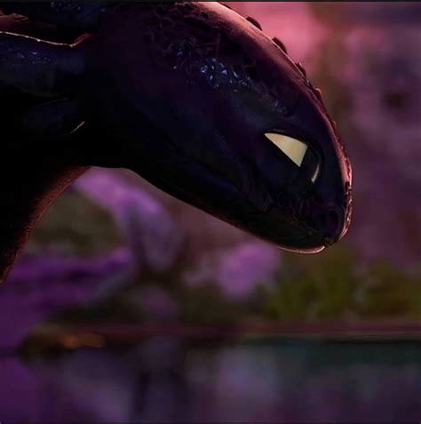 Image result for Toothless Mate