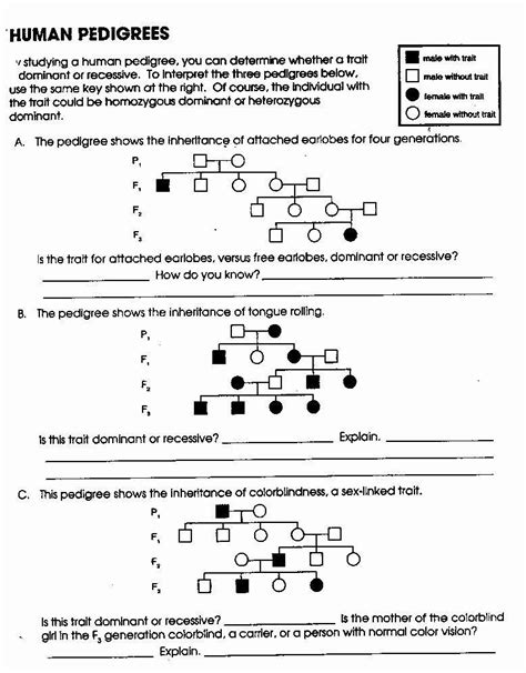 Image result for Mendelian Genetics Worksheet Answer Key