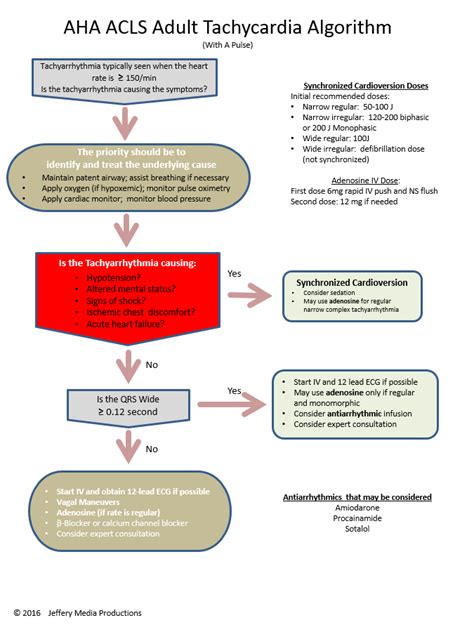 Image result for Tachycardia Algorithm
