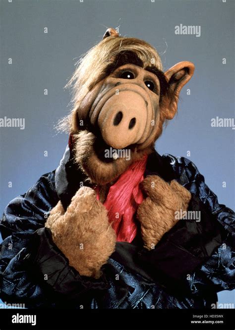 Image result for Alien Productions Alf