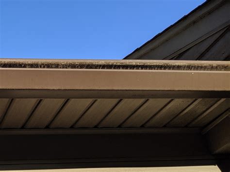 Image result for KGuard Gutters Problems