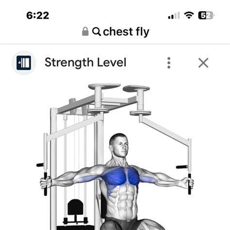 Image result for Chest Fly Exercise Drawing