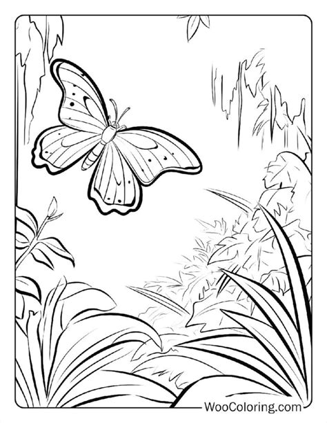 Image result for Shutterfly Coloring Pages
