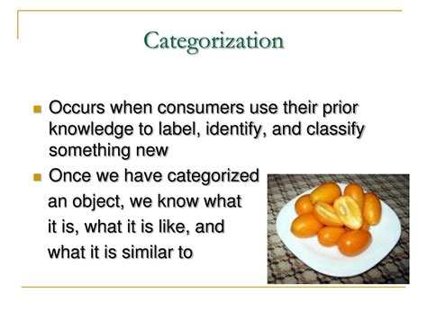 Image result for Categorization