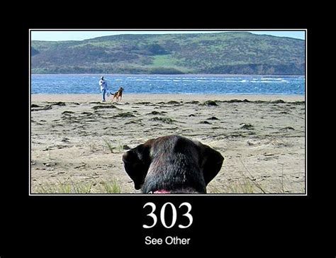 Image result for Pets Status