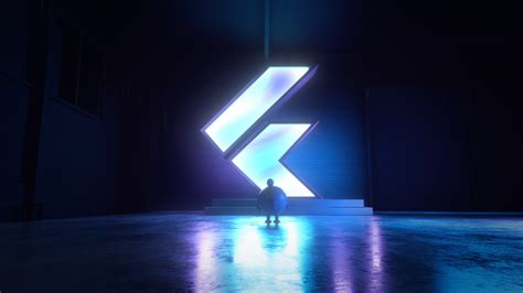 Image result for Flutter Net