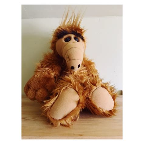 Image result for Alien Productions Alf