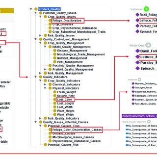 Image result for Ontology Model Example