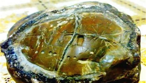 Image result for Alien Star Map