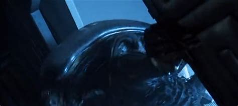 Image result for Alien Dailymotion