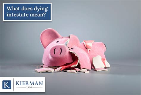 Image result for Inteste