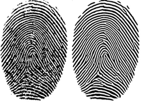 Image result for Gabor Filter Applications