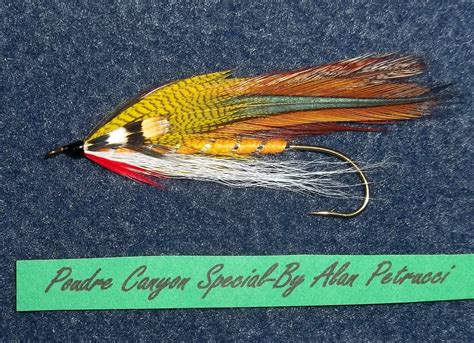 Image result for Saltwater Streamer Patterns