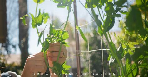 Image result for Spring Garden Planting