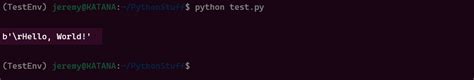 Image result for Decode Bytes Encode Strings Python