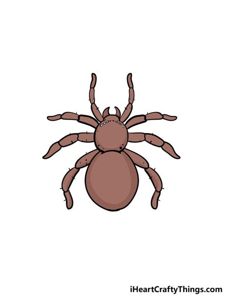 Image result for Basic Spider Drawing