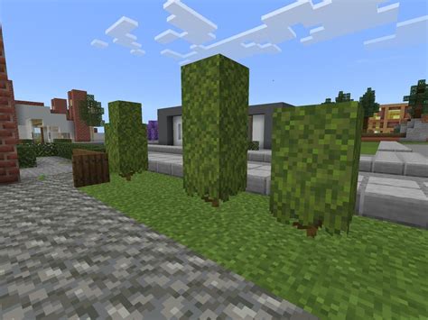 Image result for Minecraft 1.17.10 Builds Tutorial