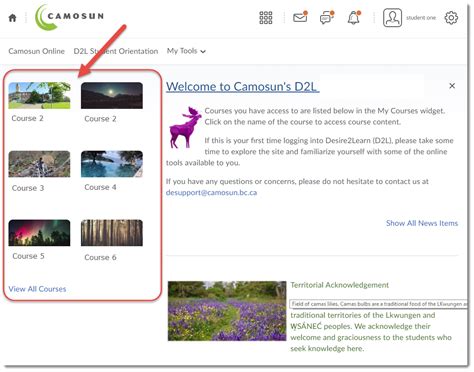 Image result for D2L Tutorial for Teachers