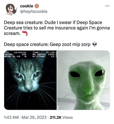 Image result for Alien Cat Meme Origin