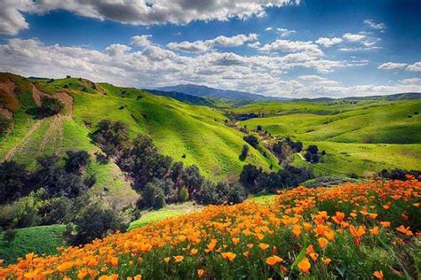 Image result for Phone Decoding