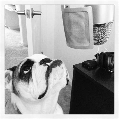 Image result for Hello Hello Hello 123 Mic Check