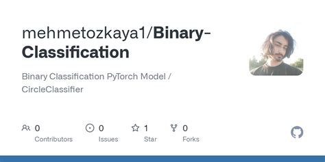 Image result for Binary Classification Python Example