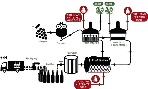 Image result for Wine Production Process