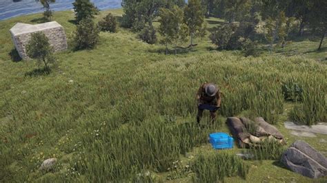 Image result for Rust Guide Start