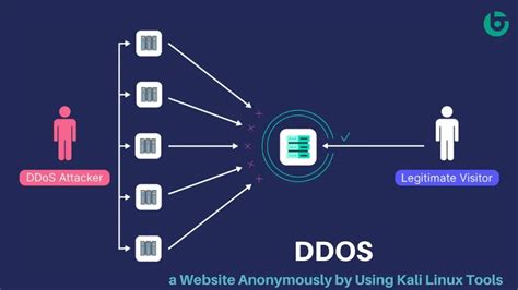 Image result for How to DDoS a Website Using Python