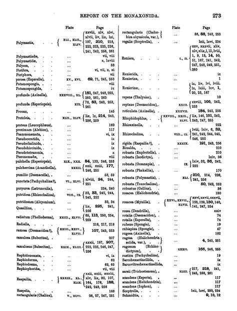 Image result for AronRa Systematic Classification System