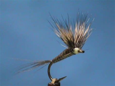 Image result for Simple Dry Fly Patterns