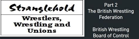 Image result for Stranglehold MMA