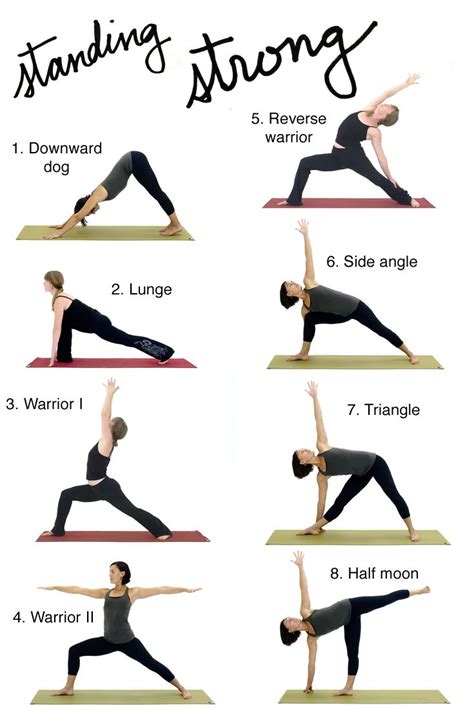 Image result for Exercise Positions