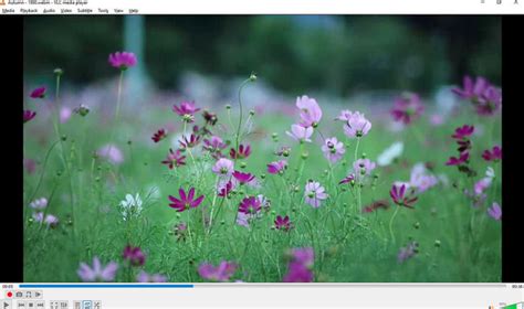 Image result for QuickTime Update