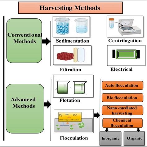 Image result for Biofuel Production Process