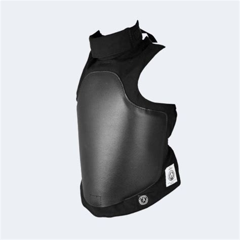 Image result for Chest Protection