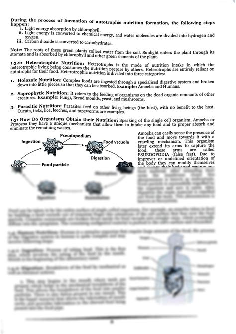 Image result for Class 10th Chapter 1 Life Process