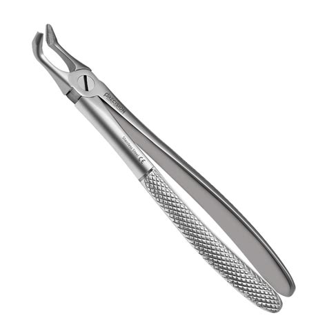 Image result for Extraction Forceps