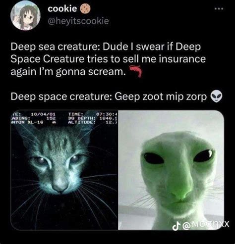 Image result for Alien Cat Meme Origin