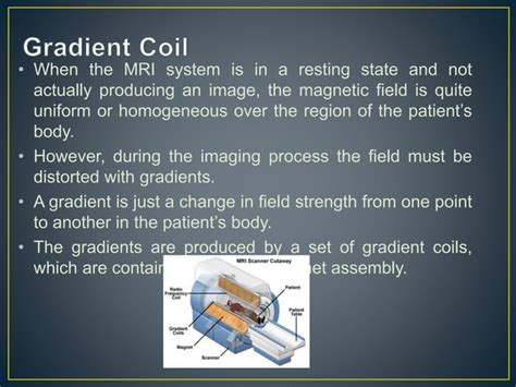 Image result for Components of MRI