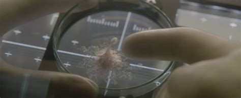 Image result for Alien LifeProof