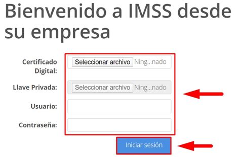 Image result for Tutorial Idse IMSS