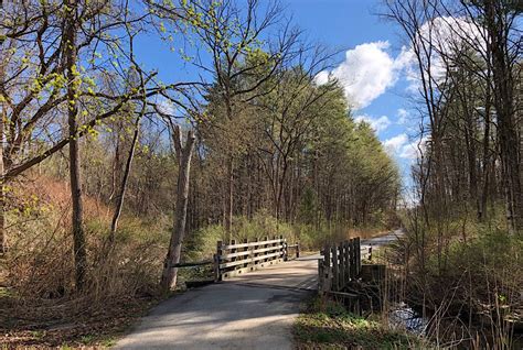 Image result for Spring Run Pit Stop