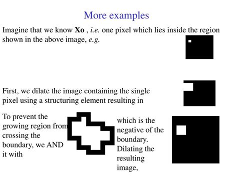 Image result for Morphological Convergence Examples